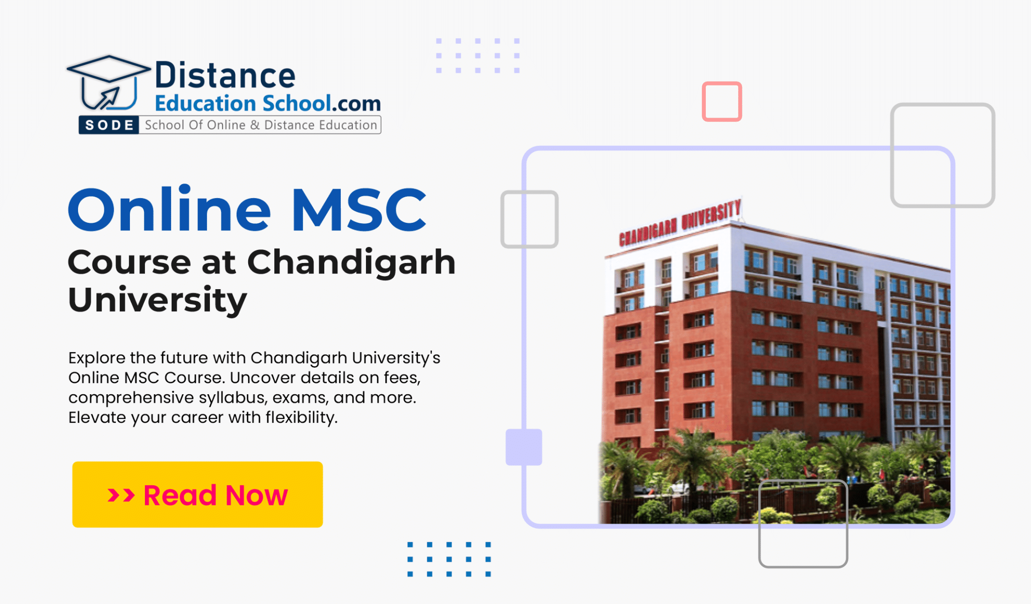 Online MSC Course at Chandigarh University