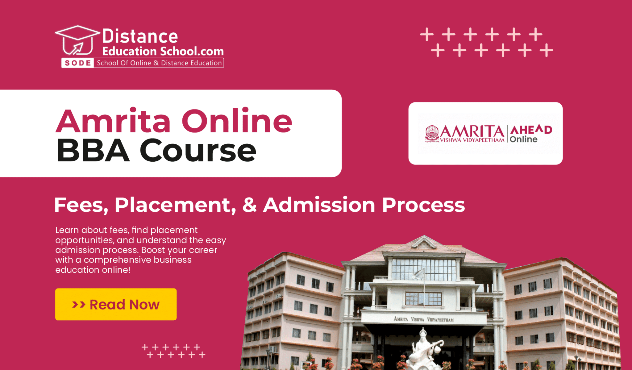 Amrita Online BBA Course: Fees, Placement, & Admission Process